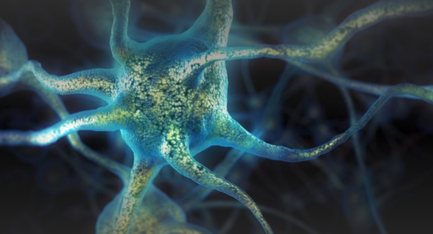 Associations - How does the brain learn? – OH Cards Institute